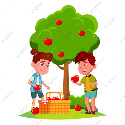 รูปเด็ก ๆ เก็บเกี่ยวแอปเปิ้ลในตะกร้าใกล้ต้นแอปเปิลเวกเตอร์ภาพประกอบภาพประกอบ Png เอเชีย