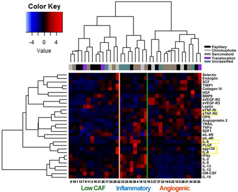 unsupervised hierarchical cluster analysis lower expression levels in