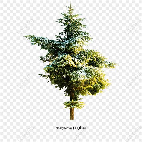 겨울에 눈이 나무 일러스트 로맨틱 원소낭만적 인 Png 일러스트 무료 다운로드 Lovepik