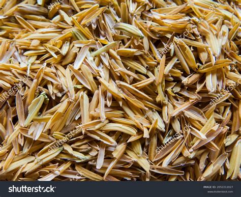 8 275 Wheat Husk Images Stock Photos Vectors Shutterstock