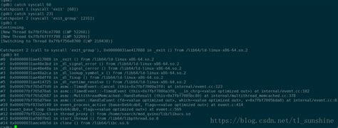 程序异常退出且没有任何coredump解决方法 qnx app crash but no core dump file csdn博客