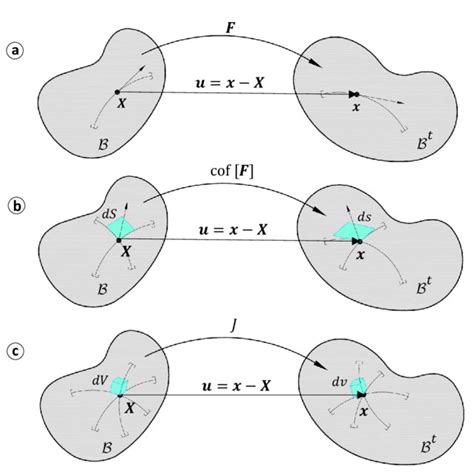 2 Fundamental Mappings At Finite Strain A Deformation Mapping