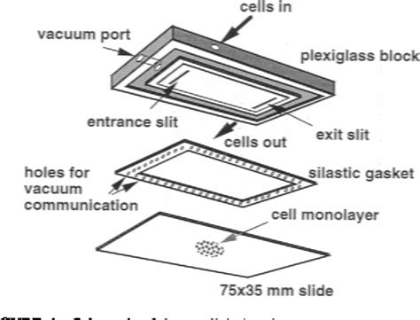 Figure 1 From Analysis Of Cell Flux In The Parallel Plate Flow Chamber