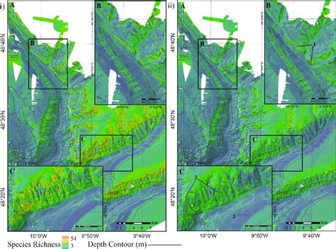 ensemble model predictive maps for species richness a across the