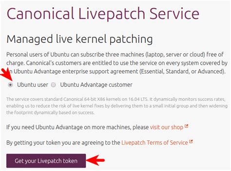 canonical livepatch service patch linux kernel on ubuntu without reboot