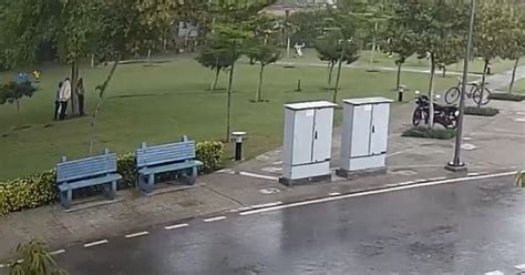 Video The Moment When Four People Are Struck By Lightning Under A Tree In Gurugram