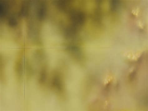 Natacha Donzé Attrition Surface Love And Labor 2025 Max Goelitz