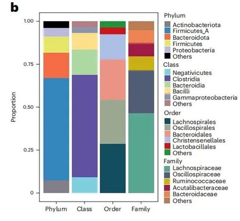 Microbiomestatplot 不同分类级别堆叠柱状教程multi Levels Stackplot Csdn博客
