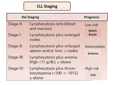 Lymphoproliferative Disorders Ppt Download