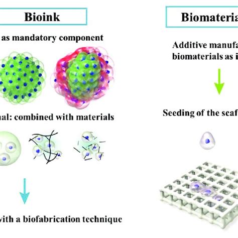 Difference Between Bioink And Biomaterial Ink In Bioink Cells Are Download Scientific Diagram