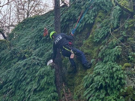Heroic Rescue Of Curious Pup Smudge From Steep Oregon Trail Daily Pawfect