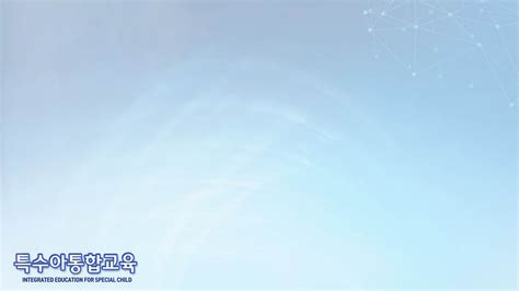 특수아통합교육