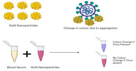 Nanoparticle Based Virus Detection Using Calorimetric Assay Download