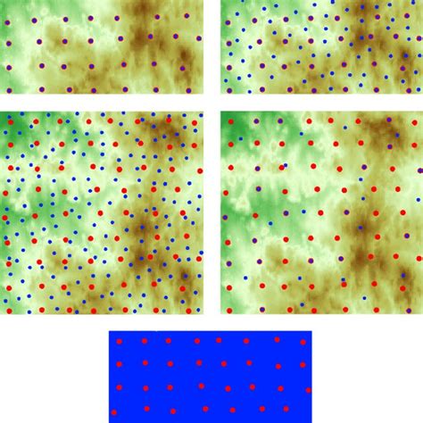 Location Of Primary And Secondary Variables Order Of The Examples Download Scientific Diagram