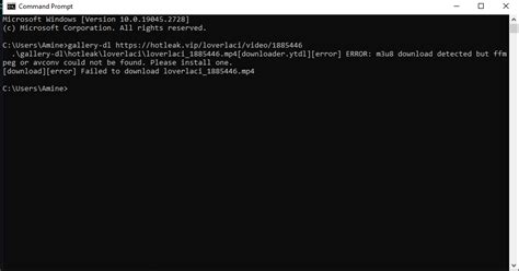 Plz Help I Can T Download From Hotleak Issue 3876 Mikf Gallery Dl GitHub