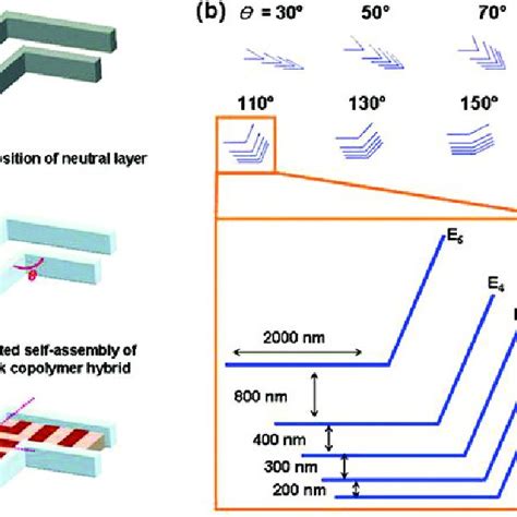 Schematic Of The Process Used To Direct The Assembly Of Download