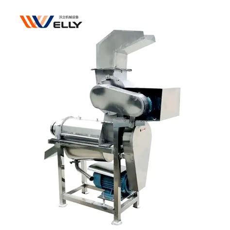 Cold Pressed Pineapple Fruit Juice Processing Machine Cold Press Ginger Juicer Extractor