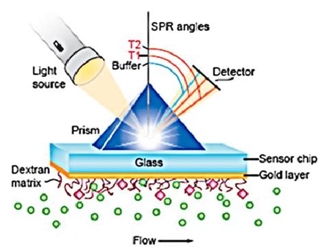 Schematic View For The Principle Of Spr Sensor Download Scientific Diagram