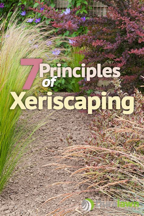 7 Principles Of Xeriscaping Xeriscape Grasses Landscaping Turf