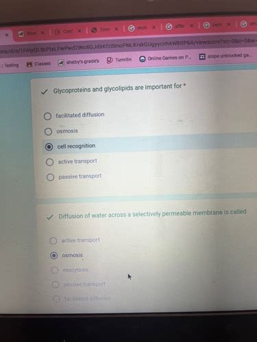 Midterm Practice Flashcards Quizlet