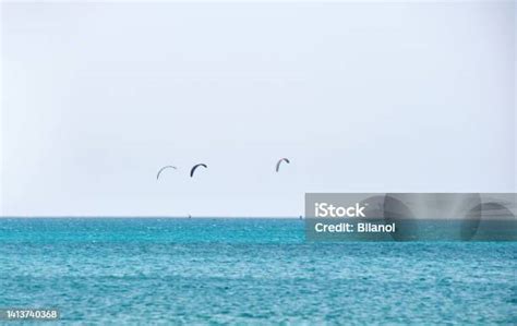 사람들은 푸른 바닷물에서 윈드 서핑과 연 서핑을하는 스포츠맨 여름 익스트림 이국적인 스포츠 컨셉 널판지에 대한 스톡 사진 및 기타 이미지 Istock