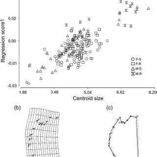 Pooled Within Habitat And Sex Multivariate Regression Of Shape Onto Download Scientific Diagram
