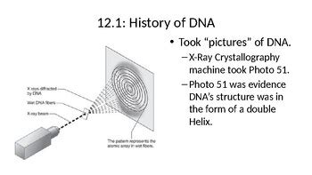 Chapter DNA PowerPoint By ABiologyTeacher TpT