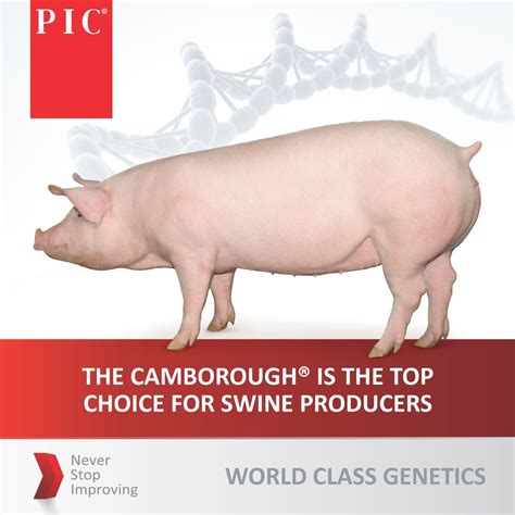 Ernst Dirk Pretorius Posted On Linkedin