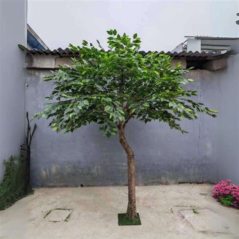 Ficus Artificial Tree Landscaping Decoration Oakco