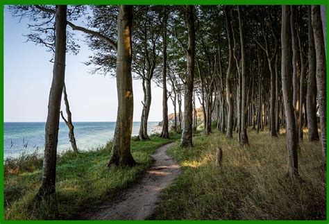 How Barcodes Eliminate Human Error