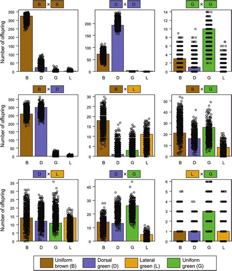 Observed Numbers Of Offspring Of Each Color Morphs For Different Mating Download Scientific