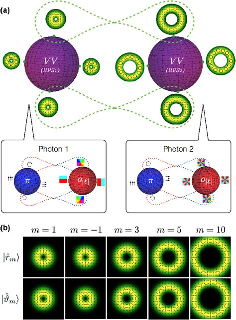 Figure From Entangled Vector Vortex Beams Semantic Scholar
