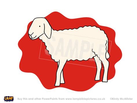 Passover Lamp Bible Pictures Bible Pictures Pet Day Bible