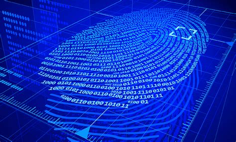 Forensic Data Analysis In Houston Powerhouse Forensics