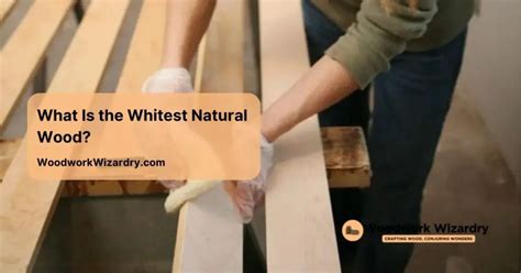 What Is The Whitest Natural Wood Top Choices For Bright And Elegant