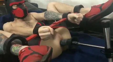 Perfect For Pup Training ThisVid Com