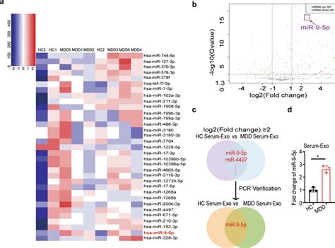 Mirna Microarray Analysis And Qrt Pcr Validation For Serum Exosomes Download Scientific Diagram