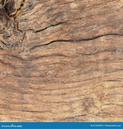 Texture Longitudinal Section Of An Old Tree Stock Image Image Of
