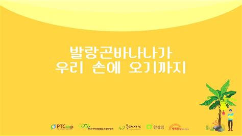 발랑곤바나나가 우리 손에 오기까지 YouTube