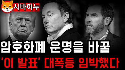 시바이누 암호화폐의 운명을 바꿀 ‘이 발표 진짜 대폭등 임박했나 Youtube