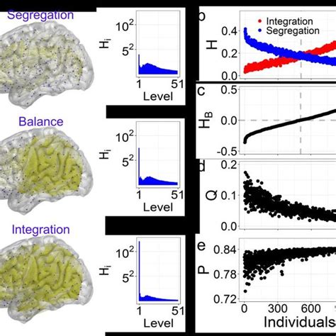 ．hierarchical Segregation And Integration In Fc Networks A The Download Scientific Diagram