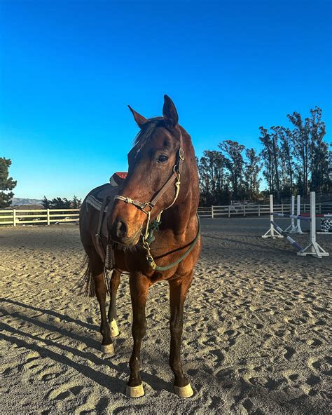 Amber Pearson Amberlynnpearson • Instagram Photos And Videos