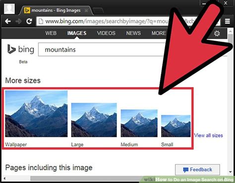How To Do An Image Search On Bing 6 Steps With Pictures