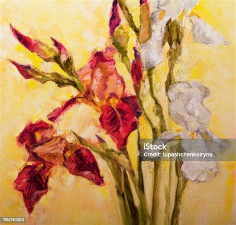 유행 봄 일러스트 비유 꽃 현대 미술 인상주의 내 원래 유화 캔버스 인상주의 수평 비유 상징적 인 삶은 흰색과 빨간색 창포를 꽃 회화에 대한 스톡 벡터 아트 및 기타 이미지