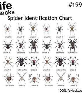 Life Hack Image On Favim Com