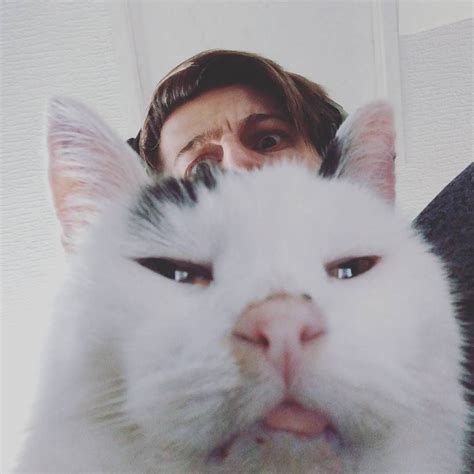 Pin On Favorite Youtubers