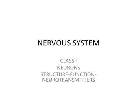 Nervous System Class 3 Pptx
