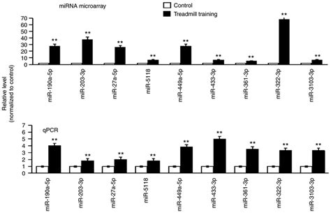 microarray screening and qpcr verification of differentially expressed