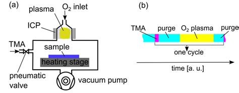 A Schematic Of A Plasma Assisted Pa Atomic Layer Deposition Ald Download Scientific