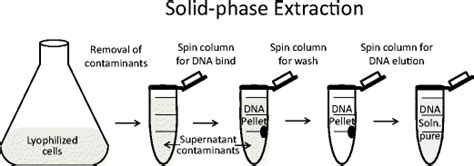 Dna Extraction On Bio Chip History And Preeminence Over Conventional And Solid Phase Extraction